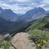 Wind Ridge Trail, Alberta, Canada - 1,332 Reviews, Map | AllTrails