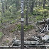Mount Herman Trail, Colorado - 1,810 Reviews, Map | AllTrails