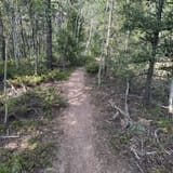Mount Herman Trail, Colorado - 1,810 Reviews, Map | AllTrails