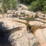 Ellison Creek Cascades, Arizona - 612 Reviews, Map | AllTrails