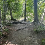 Chapel Beach Loop, Michigan - 791 Reviews, Map | AllTrails
