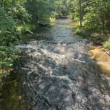 Chapel Beach Loop, Michigan - 791 Reviews, Map | AllTrails