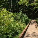 Fragrance Lake Trail, Washington - 3,174 Reviews, Map | AllTrails