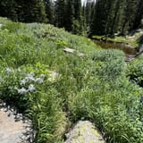 Ypsilon Lake Trail, Colorado - 1,178 Reviews, Map | AllTrails