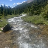 Skoki Loop Backpacking Trail, Alberta, Canada - 354 Reviews, Map ...