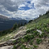 Skoki Loop Backpacking Trail, Alberta, Canada - 354 Reviews, Map ...