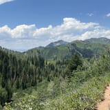 Desolation Lake via Mill D North Fork and Desolation Trail, Utah ...
