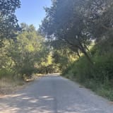 Round Top, Volcanic and Skyline Loop, California - 3,011 Reviews, Map ...