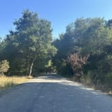 Round Top, Volcanic and Skyline Loop, California - 3,011 Reviews, Map ...