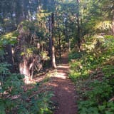 Weldon Wagon Road Trail, Washington - 532 Reviews, Map | AllTrails