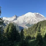 Silver Forest Trail, Washington - 533 Reviews, Map | AllTrails