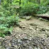 Jarrard Gap, Slaughter Creek, and Appalachian Trail Loop, Georgia - 434 ...