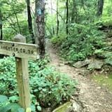 Jarrard Gap, Slaughter Creek, and Appalachian Trail Loop, Georgia - 434 ...
