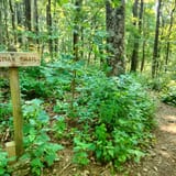 Jarrard Gap, Slaughter Creek, and Appalachian Trail Loop, Georgia - 434 ...