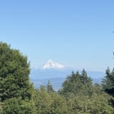Council Crest via Marquam Trail, Oregon - 2,092 Reviews, Map | AllTrails