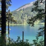 Annette Lake Trail, Washington - 6,382 Reviews, Map | AllTrails