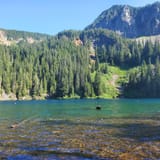 Annette Lake Trail, Washington - 6,382 Reviews, Map | AllTrails