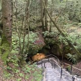 Fugaku Wind Cave - Narusawa Ice Cave Loop: 145 fotos - Yamanashi, Japão ...