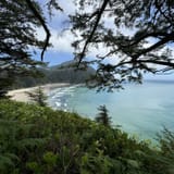 Cape Falcon Trail, Oregon - 4,133 Reviews, Map | AllTrails