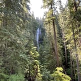 Proxy Falls Loop, Oregon - 1,269 Reviews, Map | AllTrails