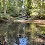 Proxy Falls Loop, Oregon - 1,269 Reviews, Map | AllTrails