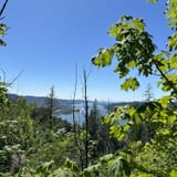 Angel's Rest, Oregon - 8,595 Reviews, Map | AllTrails