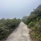 Old Colma Road Loop, California - 2,244 Reviews, Map | AllTrails