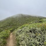 Old Colma Road Loop, California - 2,244 Reviews, Map | AllTrails