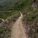 Old Colma Road Loop, California - 2,244 Reviews, Map | AllTrails