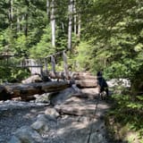 Barclay Lake Trail, Washington - 2,160 Reviews, Map | AllTrails