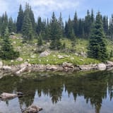 Heart Lake via South Boulder Creek Trail, Colorado - 1,062 Reviews, Map ...