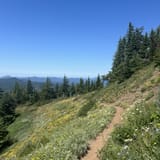 Cone Peak Trail, Oregon - 804 Reviews, Map | AllTrails