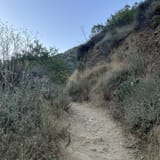 Temescal Canyon Trail, California - 10,890 Reviews, Map | AllTrails