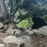 Temescal Canyon Trail, California - 10,890 Reviews, Map | AllTrails