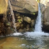 Cold Springs East Fork Trail, California - 345 Reviews, Map | AllTrails