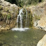 Cold Springs East Fork Trail, California - 345 Reviews, Map | AllTrails