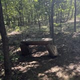 Devil's Honeycomb Trail , Missouri - 826 Reviews, Map | AllTrails