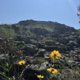 Devil's Honeycomb Trail , Missouri - 826 Reviews, Map | AllTrails