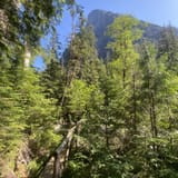 Barclay Lake Trail, Washington - 2,160 Reviews, Map | AllTrails