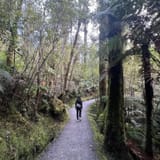 Lake Matheson Walk, West Coast, New Zealand - 946 Reviews, Map | AllTrails