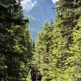 Wind Ridge Trail, Alberta, Canada - 1,332 Reviews, Map | AllTrails