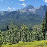 Wind Ridge Trail, Alberta, Canada - 1,322 Reviews, Map | AllTrails