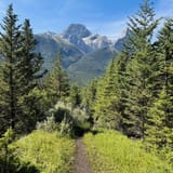 Wind Ridge Trail, Alberta, Canada - 1,332 Reviews, Map | AllTrails