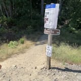 Dickerson Falls, Washington - 2,648 Reviews, Map | AllTrails