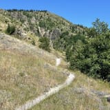 Hummocks Trail, Washington - 1,165 Reviews, Map | AllTrails