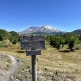 Hummocks Trail, Washington - 1,165 Reviews, Map | AllTrails