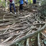 Gunung Lambak via Gunung Lambak Trailhead, Johor, Malaysia - 272 ...