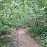 Lost Canyon Trail, Wisconsin - 1,113 Reviews, Map | AllTrails