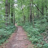 Lost Canyon Trail, Wisconsin - 1,113 Reviews, Map | AllTrails