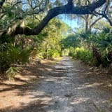 Guana Trail, Marshview Lane, and Shellbluff Road, Florida - 268 Reviews ...